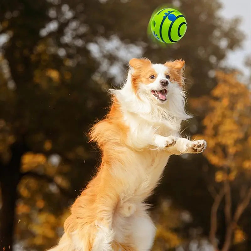 Gift for Pets, Durable Interactive Dog Toys Ball, Summer Gift, Squeaky ...